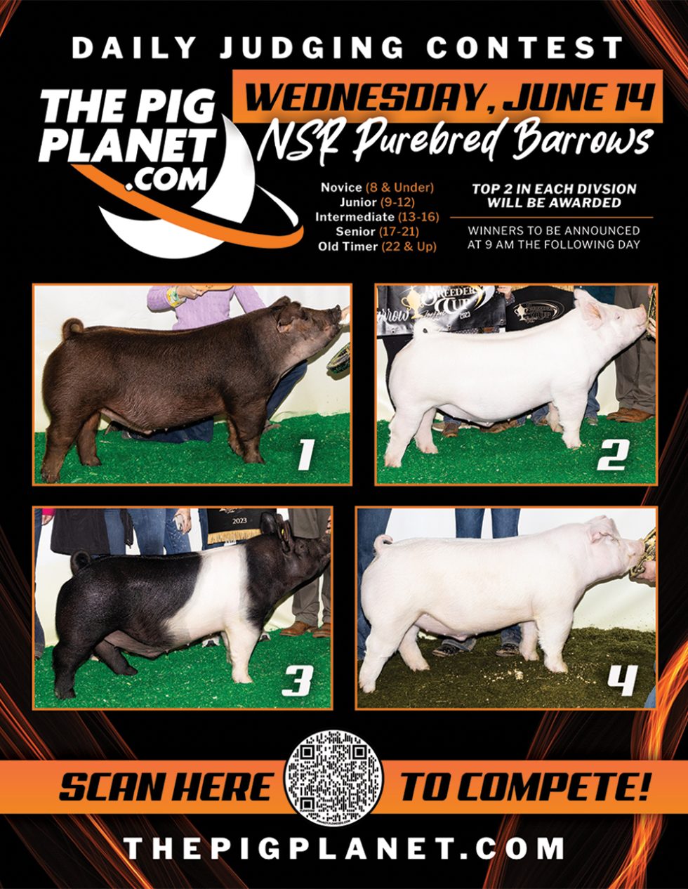 The Expo Daily Judging Contest - Wednesday, June 14, 2023 - The Pig Planet