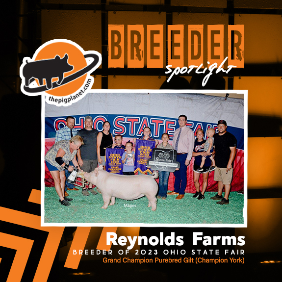 Reynolds Farms - The Pig Planet