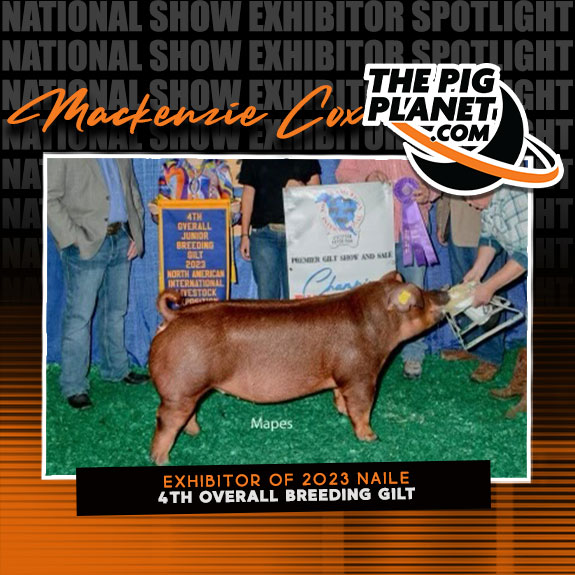 Mackenzie Cox - The Pig Planet