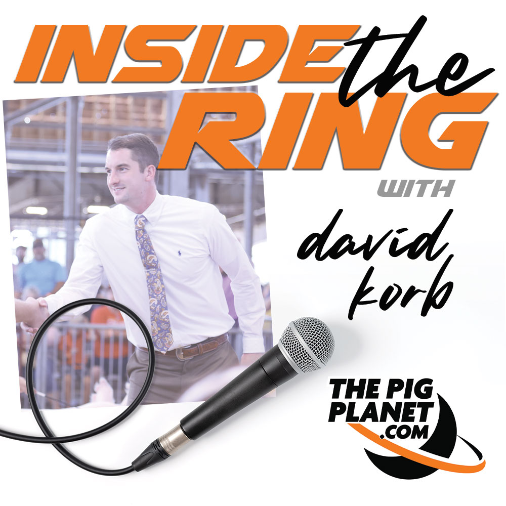 Inside The Ring - David Korb - The Pig Planet
