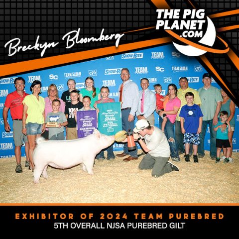 Breckyn Bloomberg - The Pig Planet