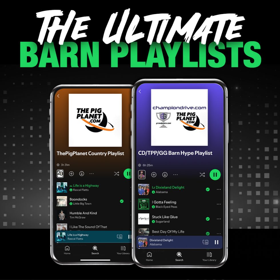 Home - The Pig Planet