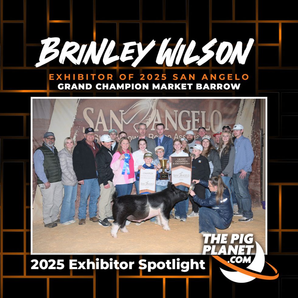 Brinley Wilson - The Pig Planet