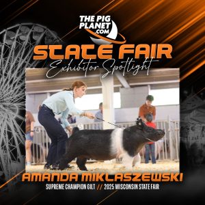 Articles & Content - The Pig Planet