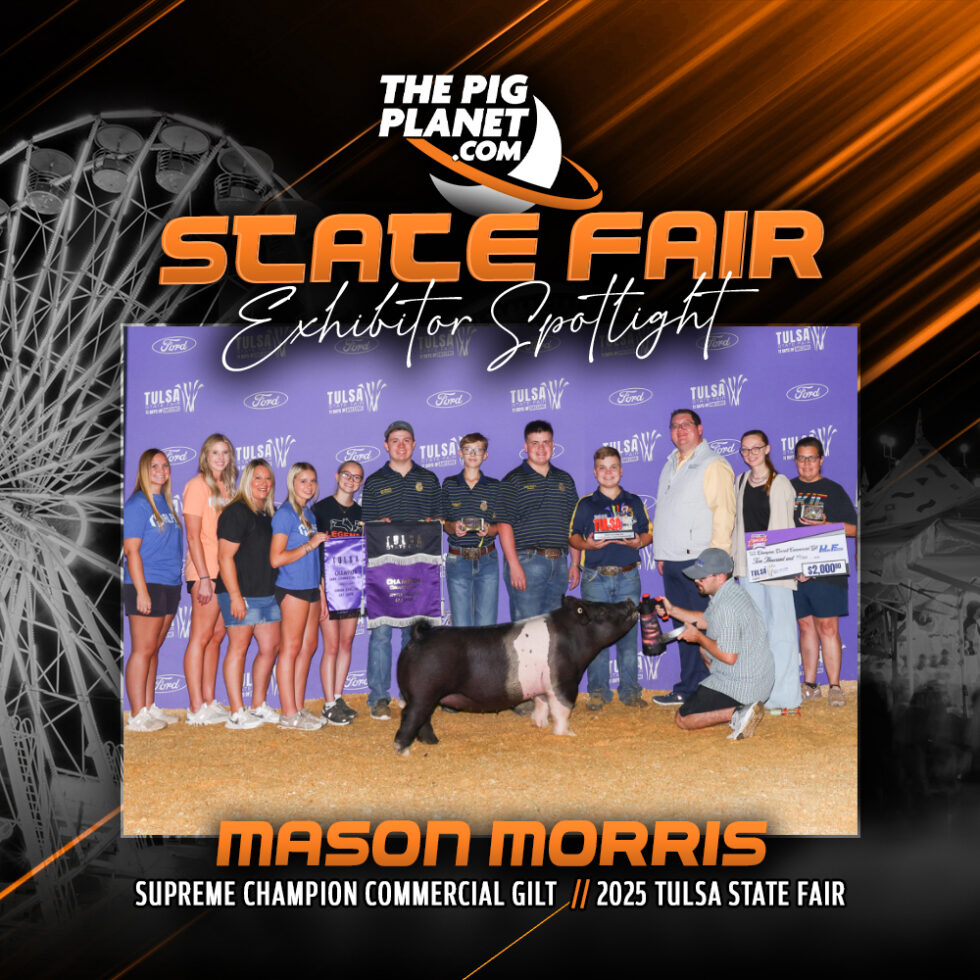 Mason Morris - The Pig Planet