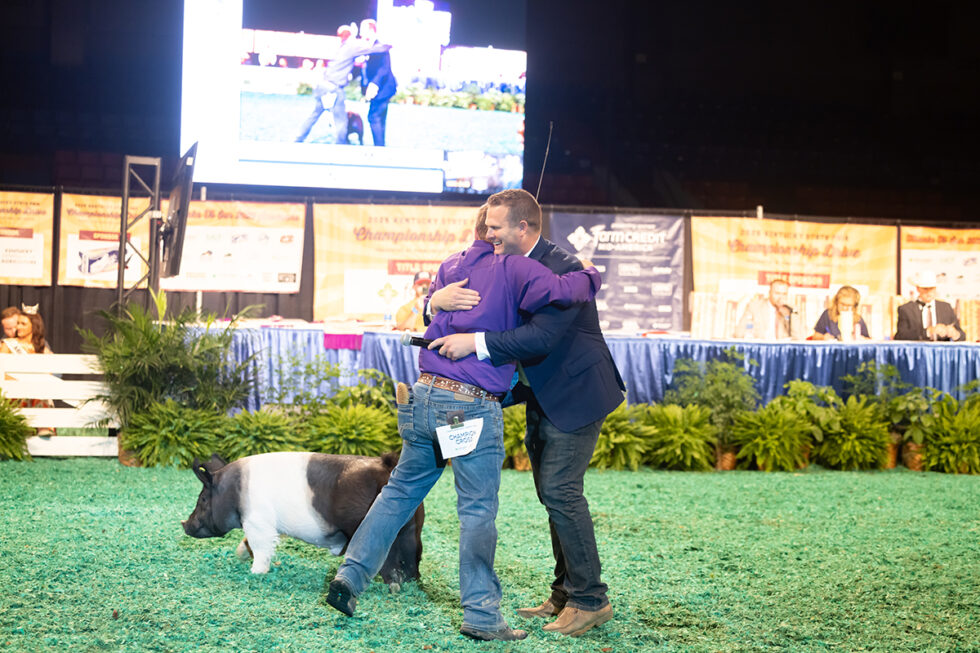 Home - The Pig Planet