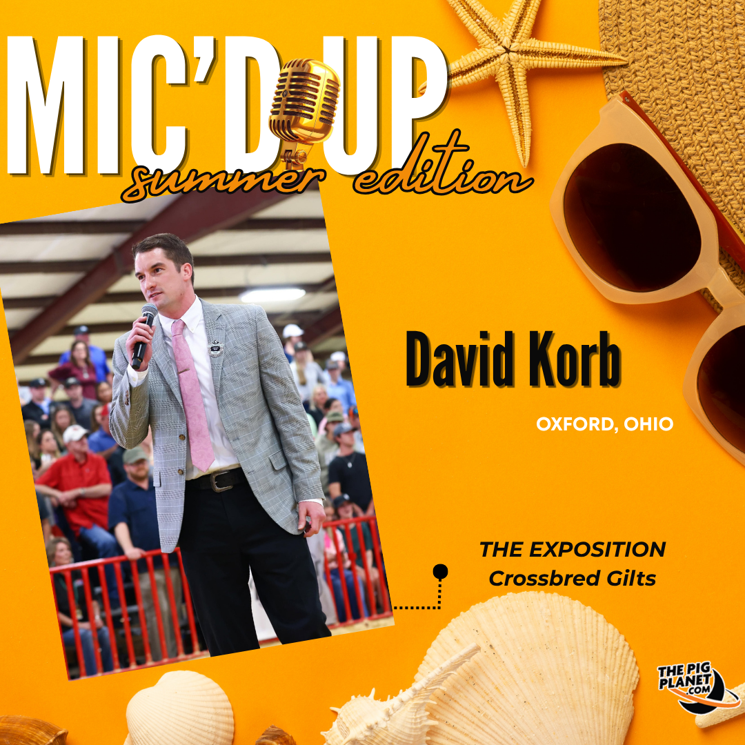 Mic'd Up - David Korb - The Pig Planet